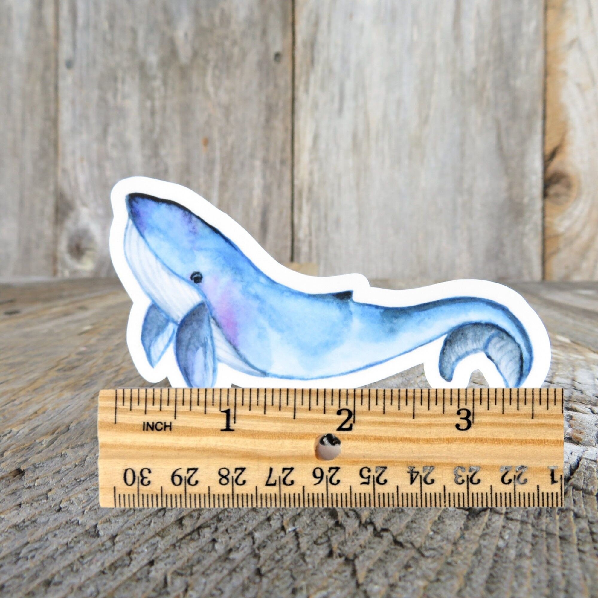 Blue Whale Sticker Decal Full Color Waterproof Ocean Sea Life - Etsy