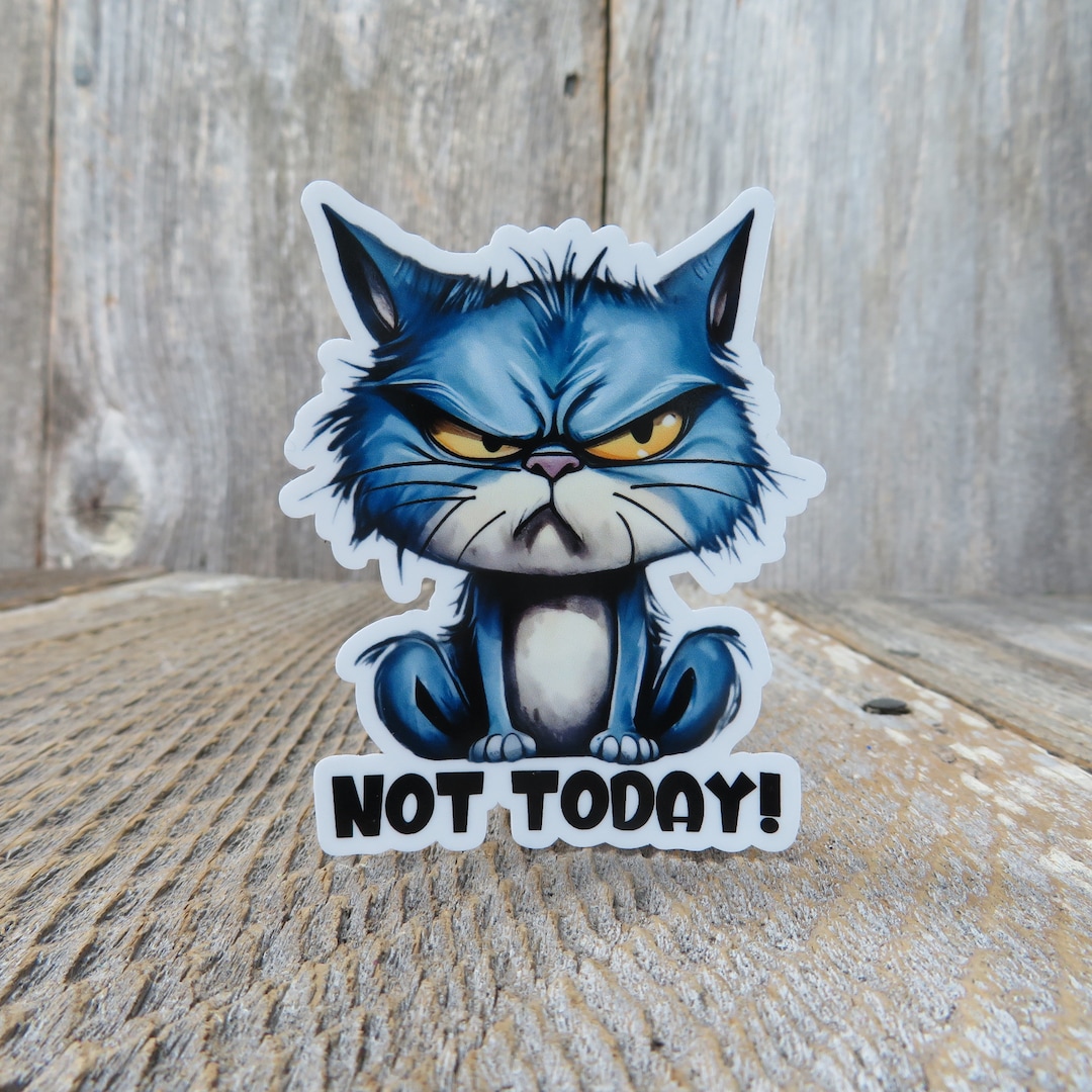 Not Today Grumpy Cat Sticker Full Color Social Funny Sarcastic ...