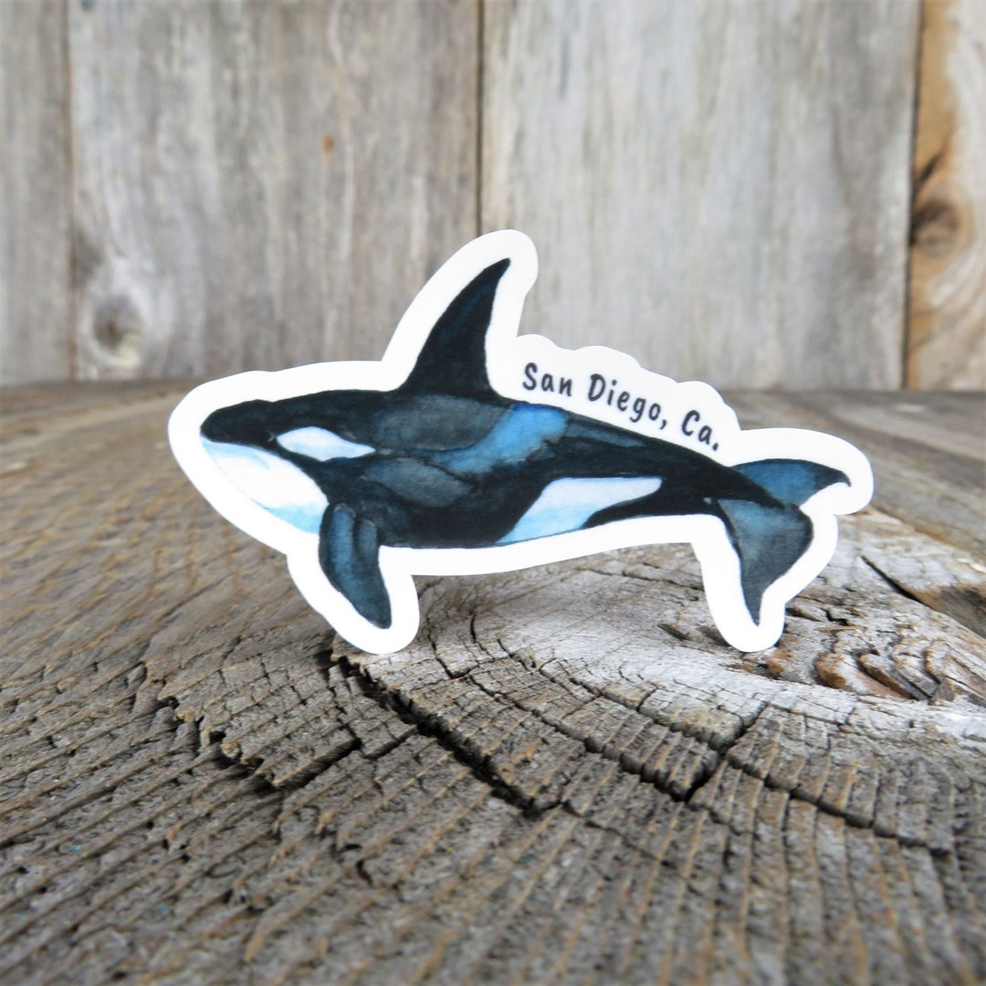 Orca Whale San Diego Sticker California Whale Watching Souvenir ...