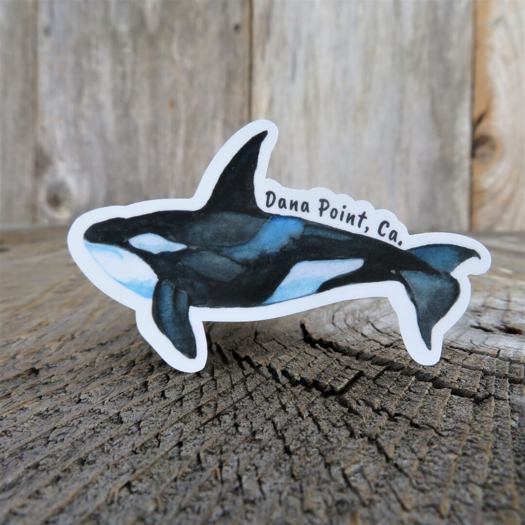 Orca Whale Dana Point Sticker California Whale Watching Souvenir ...