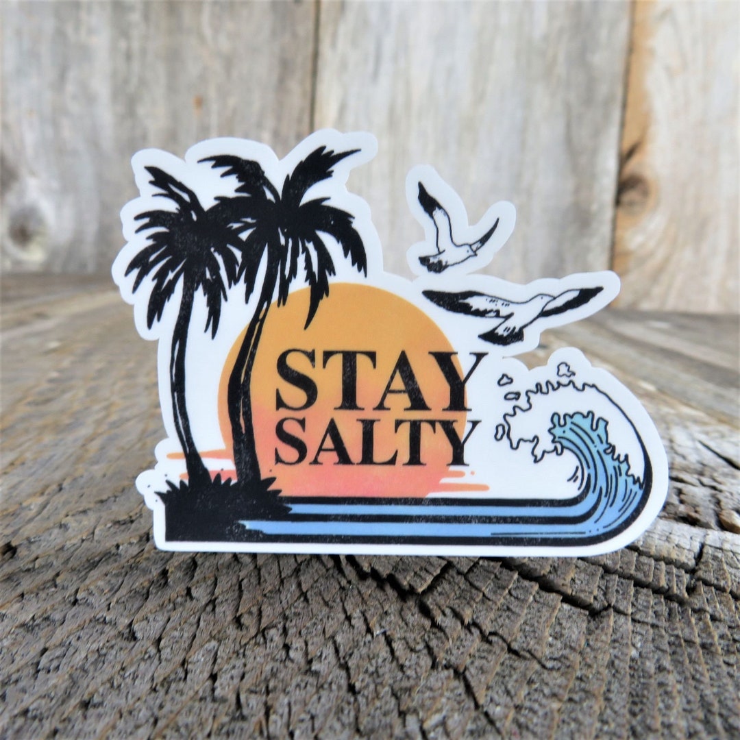 Stay Salty Sticker Summer Ocean Retro Colored Decal Palm Tree ...