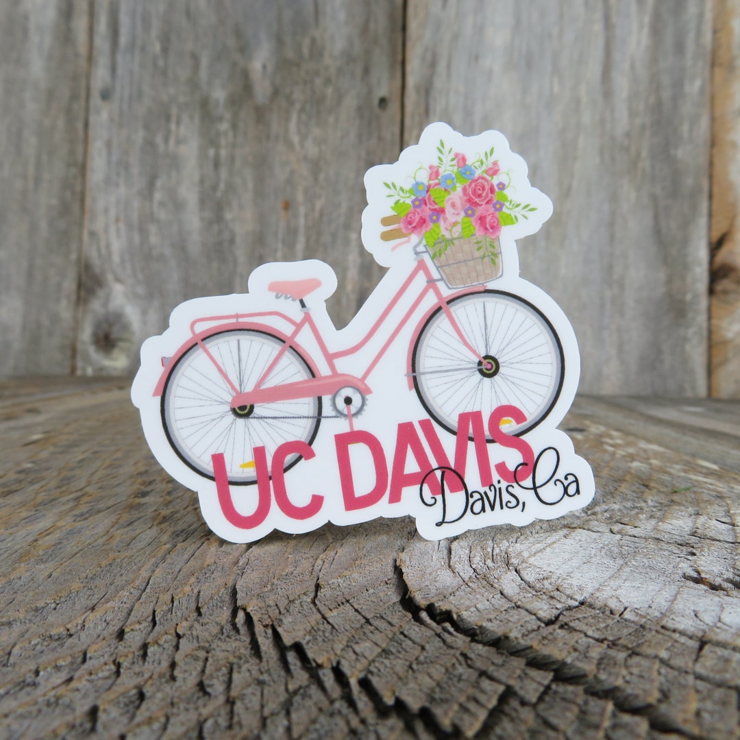 UC Davis California Sticker Pink Cruiser Bike With Flower Basket Full ...