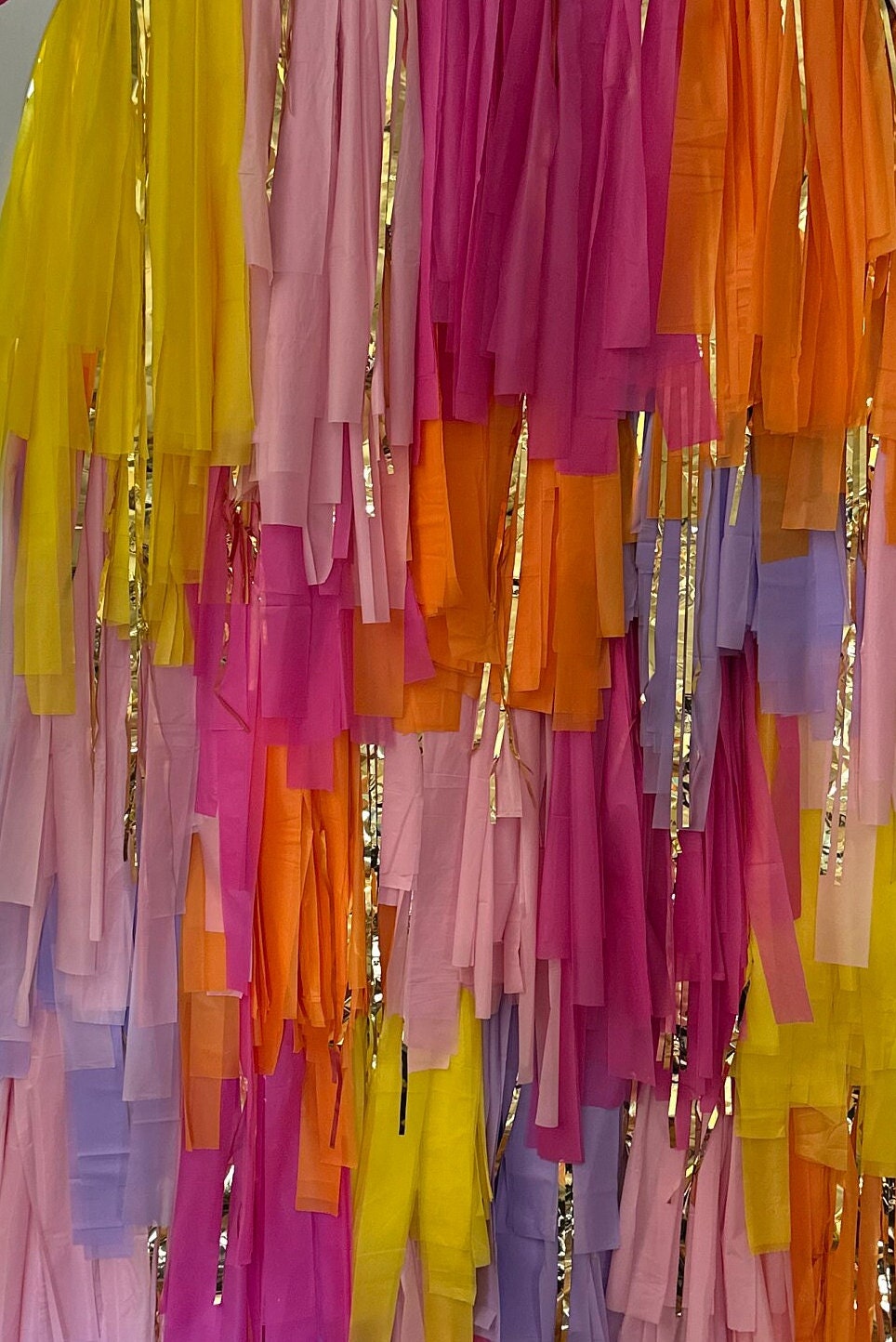 Custom Fringe Wall Backdrop - Etsy