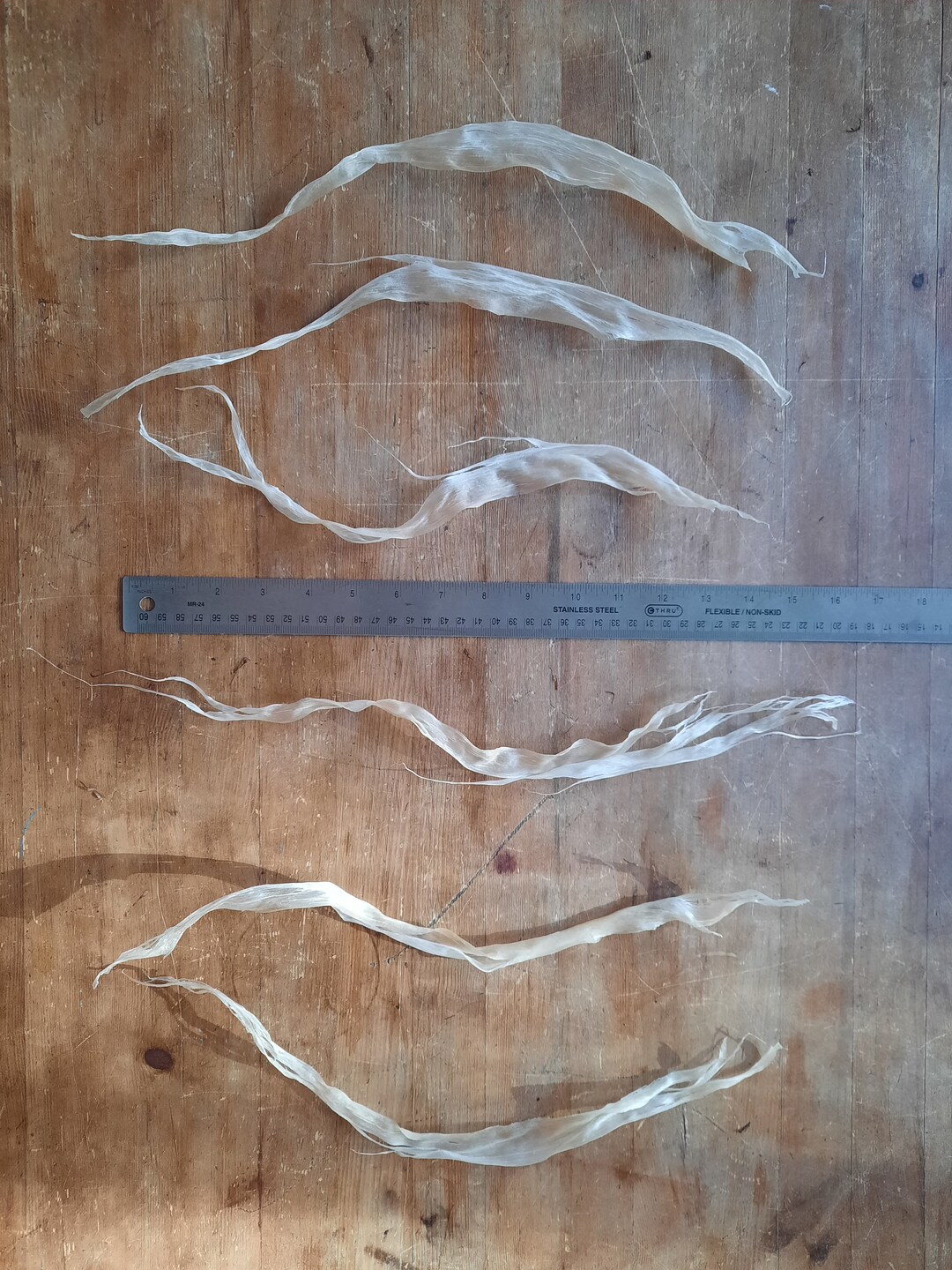 15-18 Inch Whitetail Deer Back Sinew, Also Called Backstrap or Sinue - Etsy