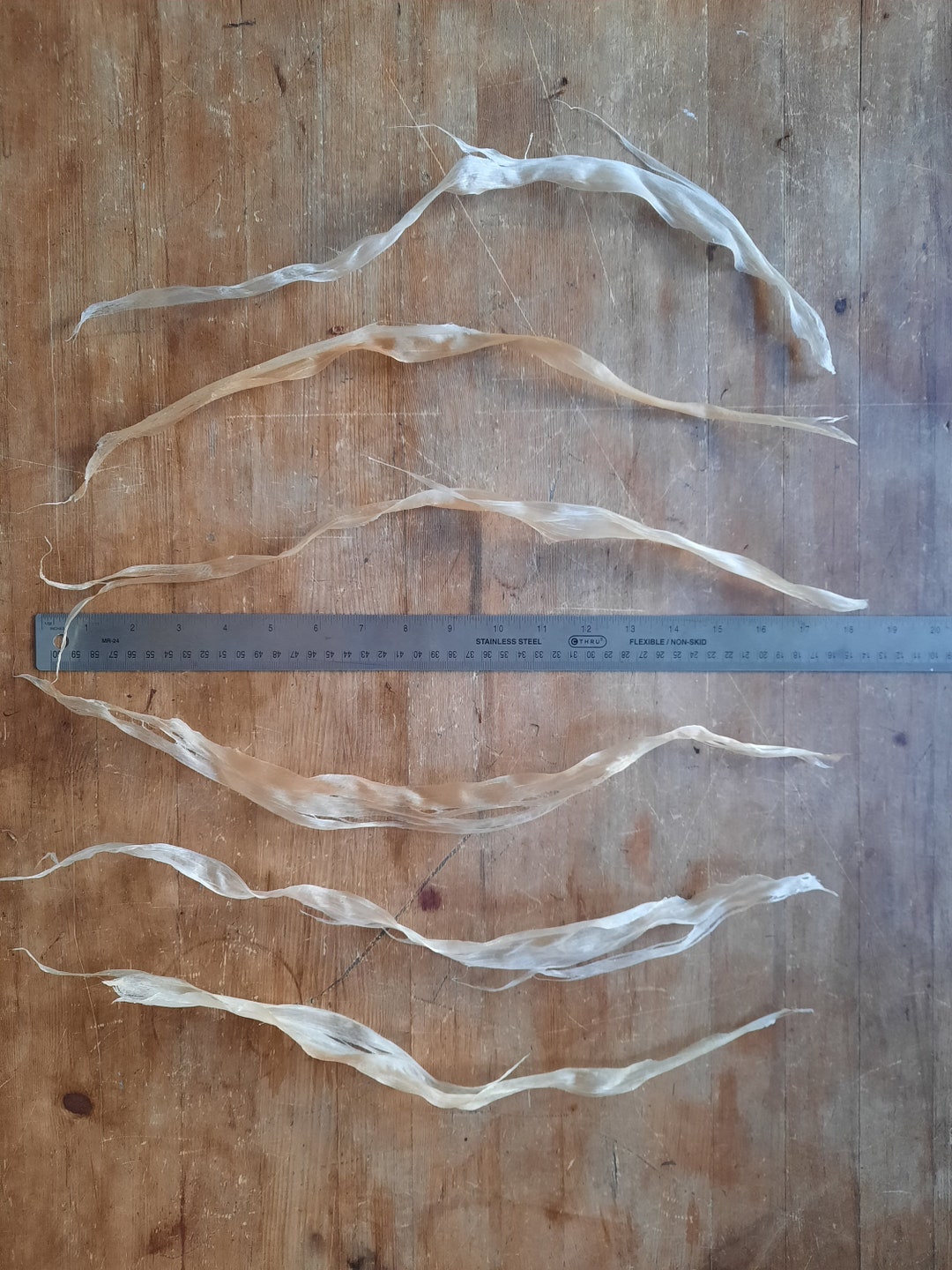 18-20 Inch Whitetail Deer Back Sinew, Also Called Backstrap or Sinue - Etsy