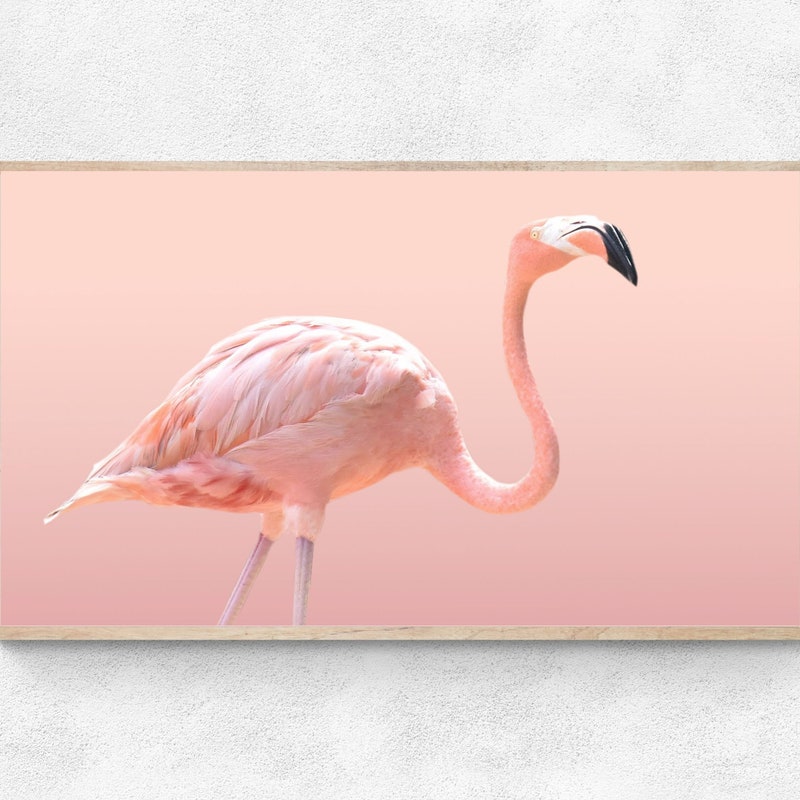 Flamingo Tv Wallpaper - Etsy UK