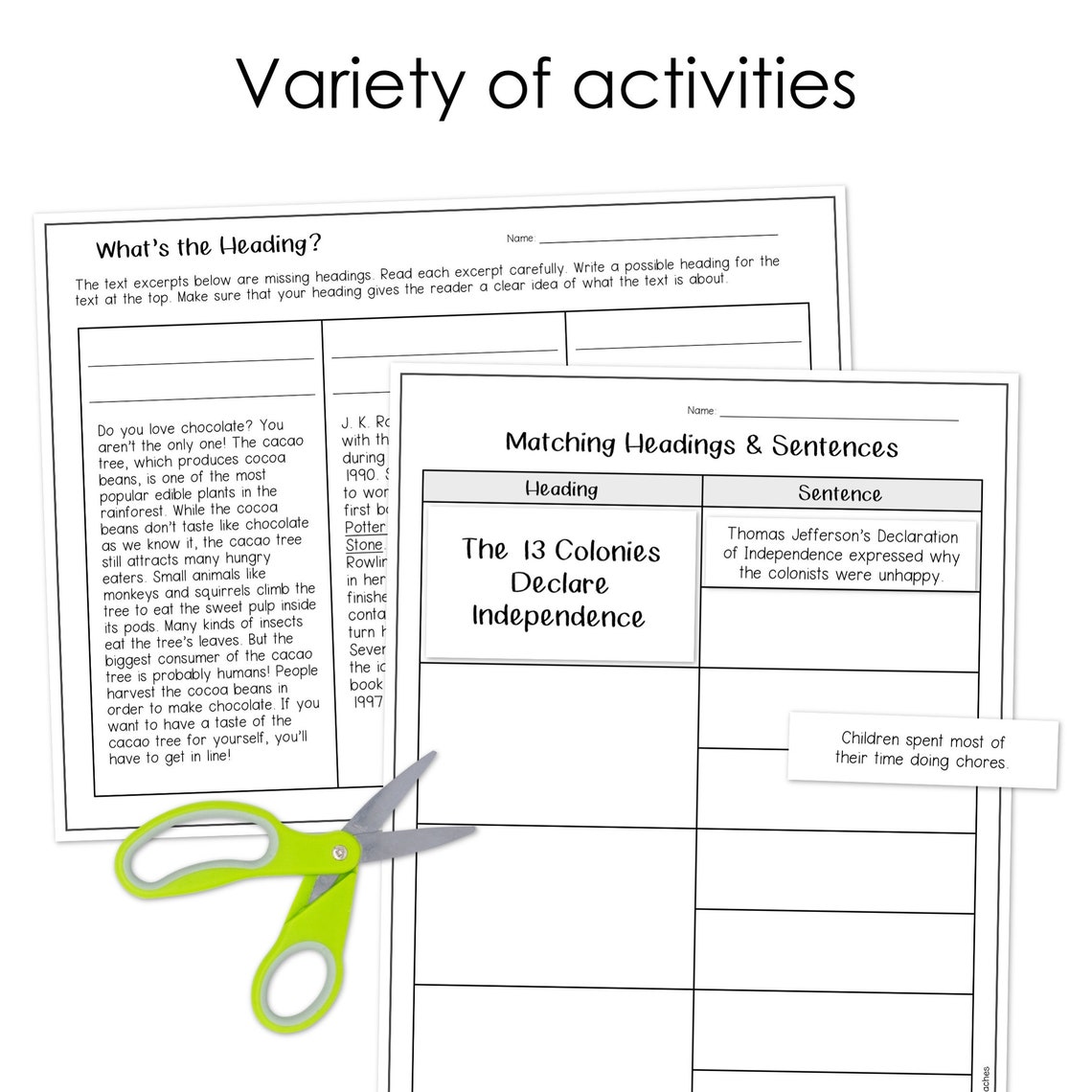Headings and Subheadings Worksheets, Nonfiction Reading Activities - Etsy