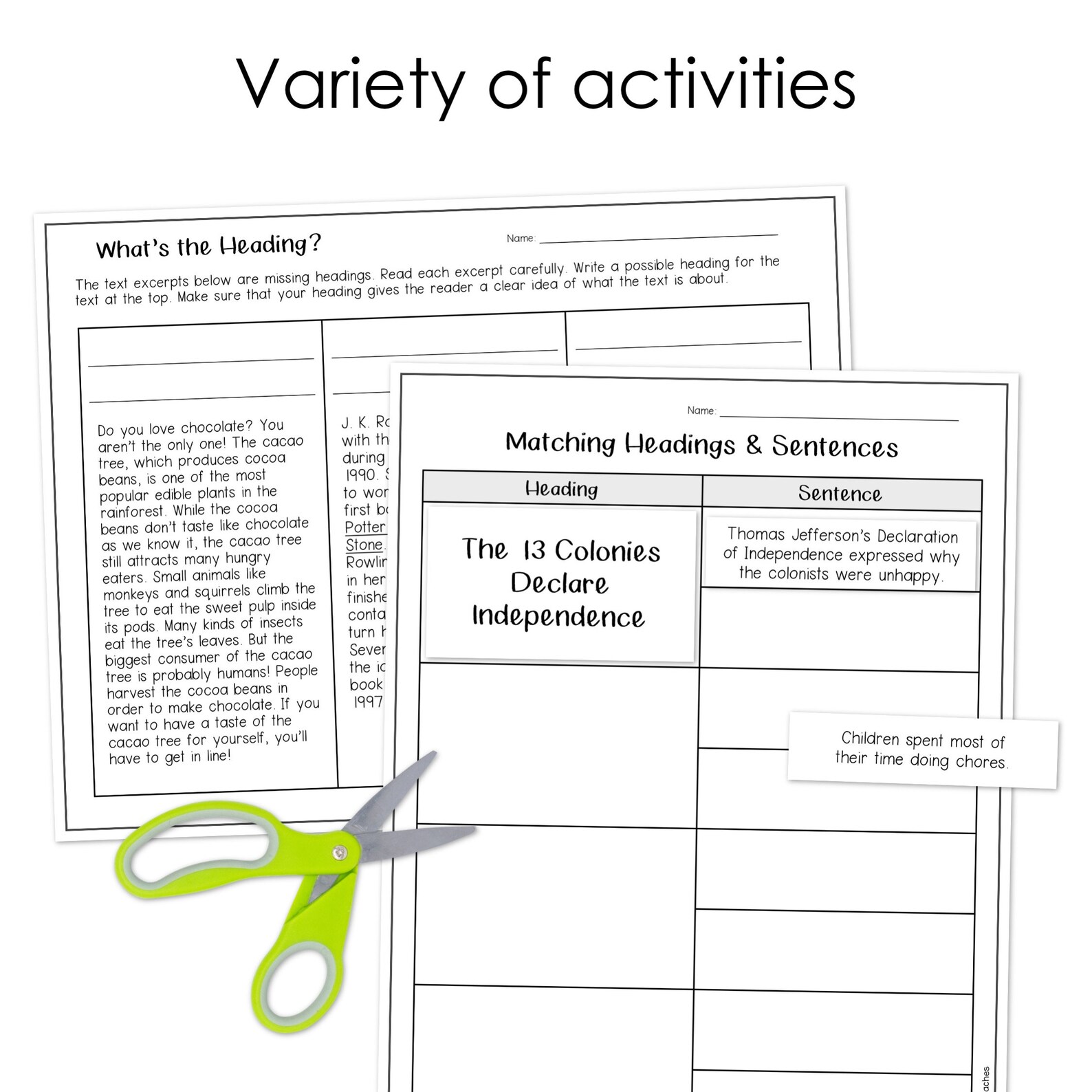 Headings and Subheadings Worksheets, Nonfiction Reading Activities - Etsy