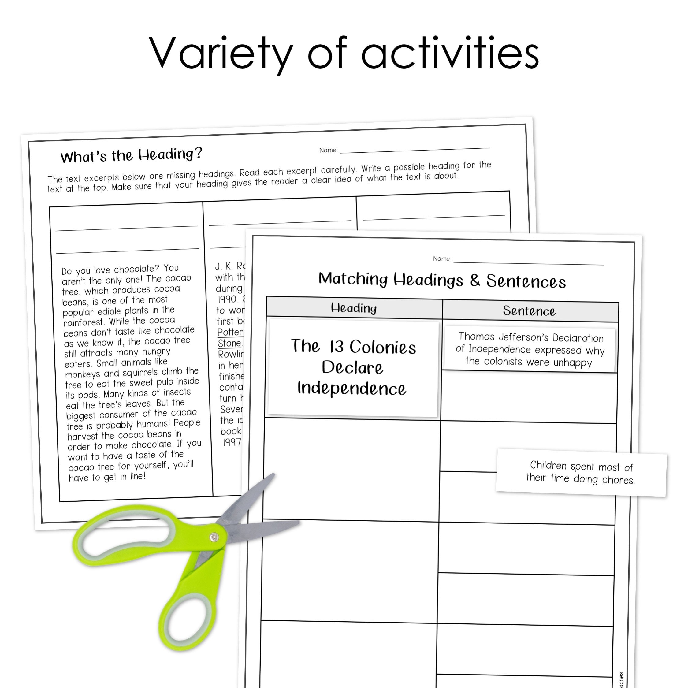 Headings and Subheadings Worksheets, Nonfiction Reading Activities - Etsy
