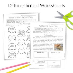 Topic and Main Idea Worksheets, Nonfiction Reading Activities - Etsy