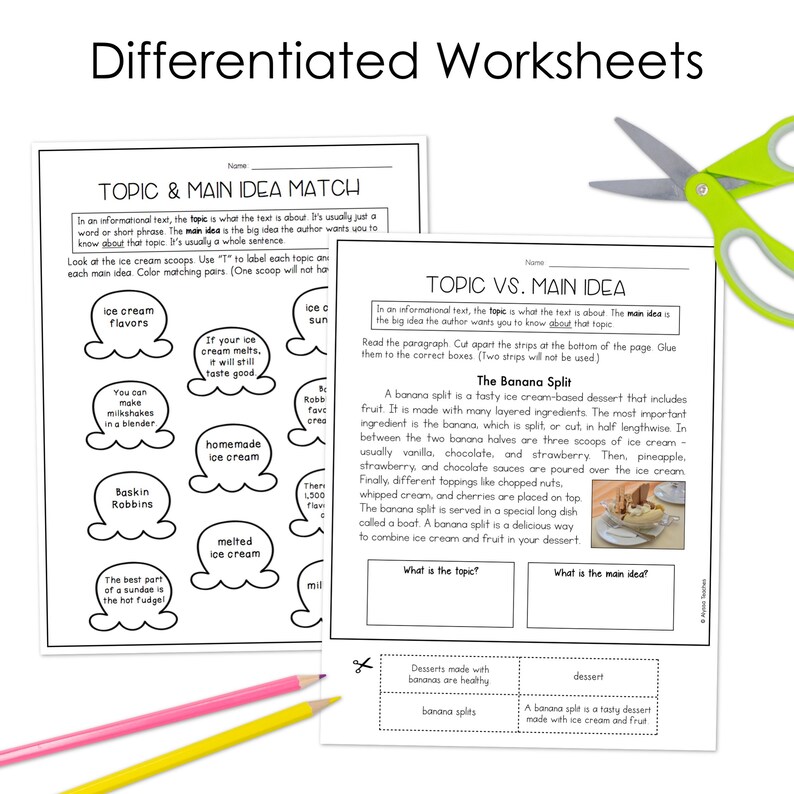 Topic and Main Idea Worksheets, Nonfiction Reading Activities - Etsy