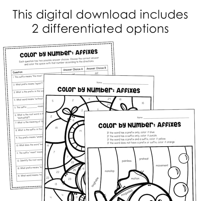 Prefix and Suffix Color by Number Worksheets - Etsy