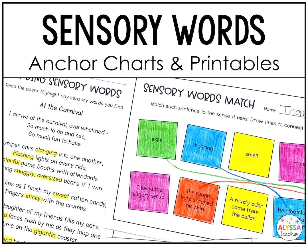 Sensory Words Activities, Sensory Language Worksheets - Etsy
