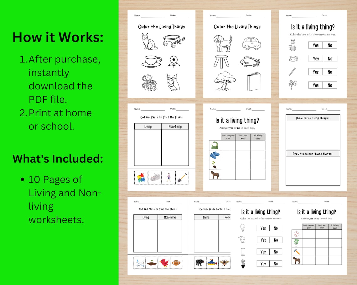 Living and Non-living Worksheets First Grade Science Activity Printable ...