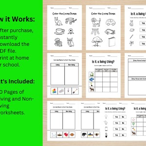 Living and Non-living Worksheets | First Grade Science Activity ...