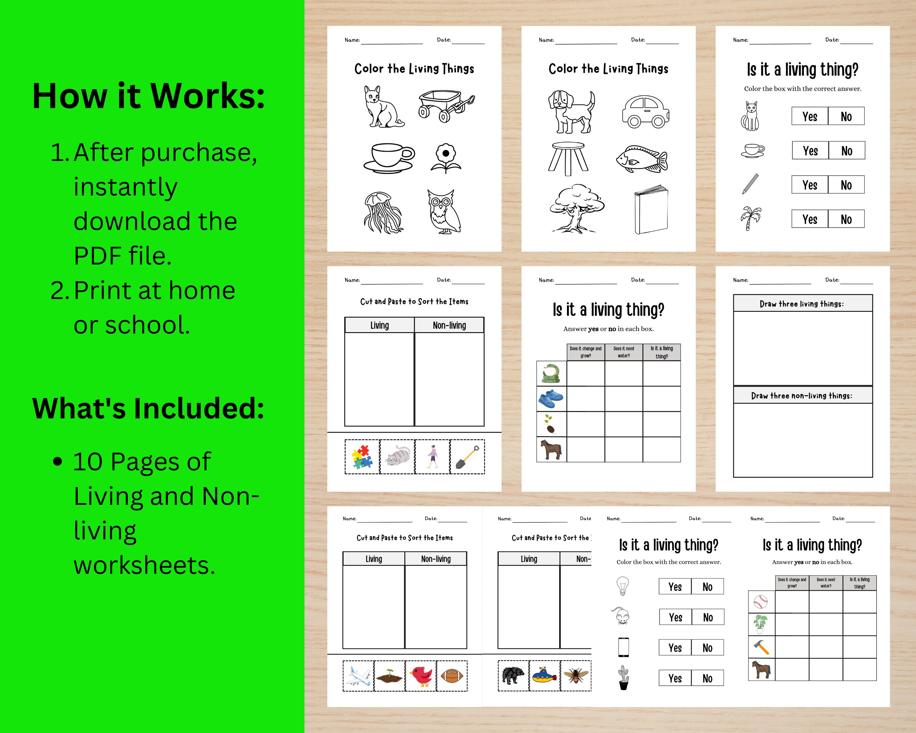 Living and Non-living Worksheets | First Grade Science Activity ...