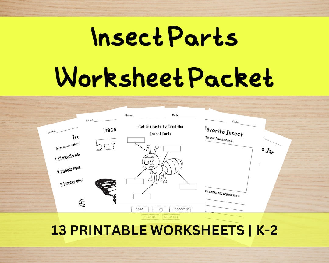 Insect Parts Worksheet Packet | Insect Worksheets | First Grade ...