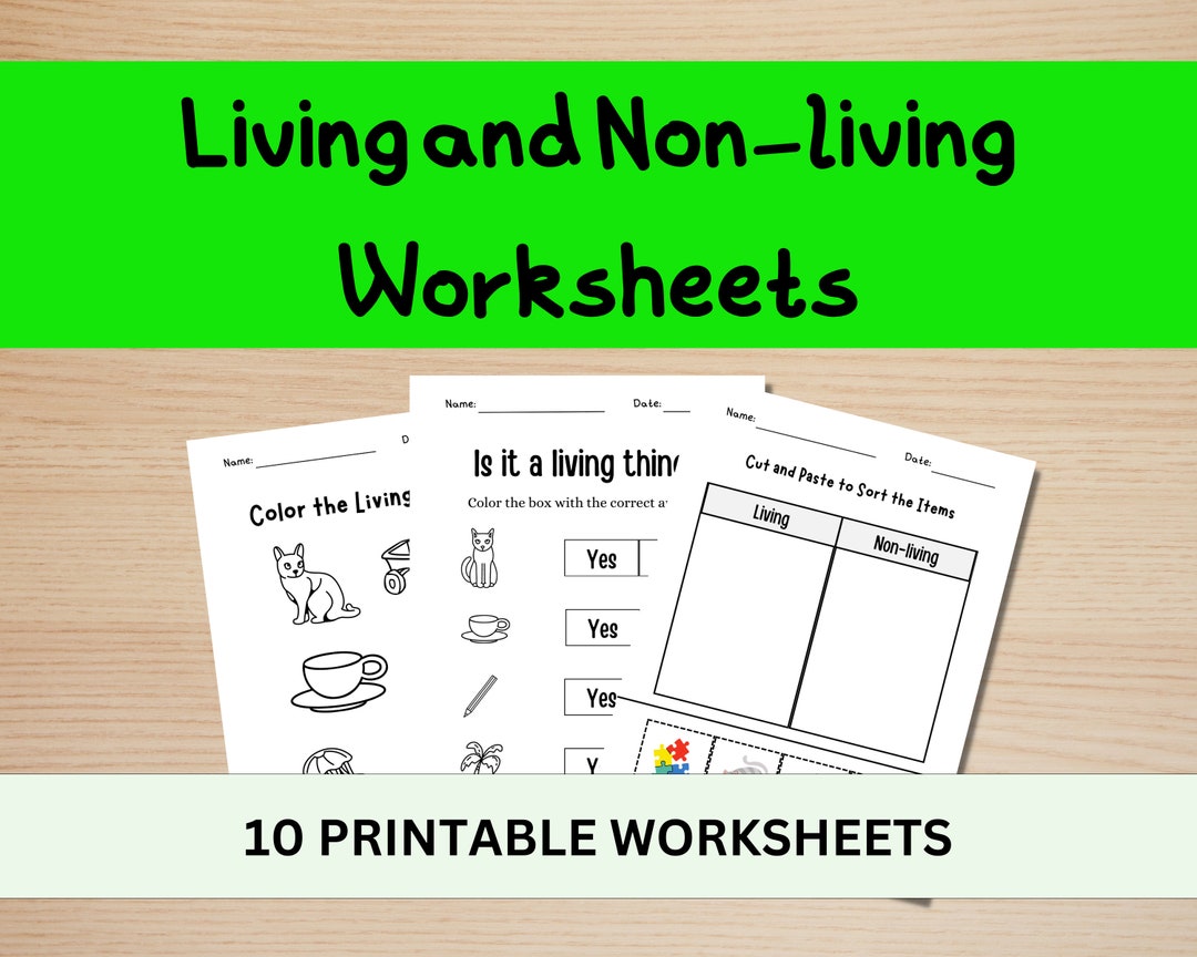 Living and Non-living Worksheets | First Grade Science Activity ...