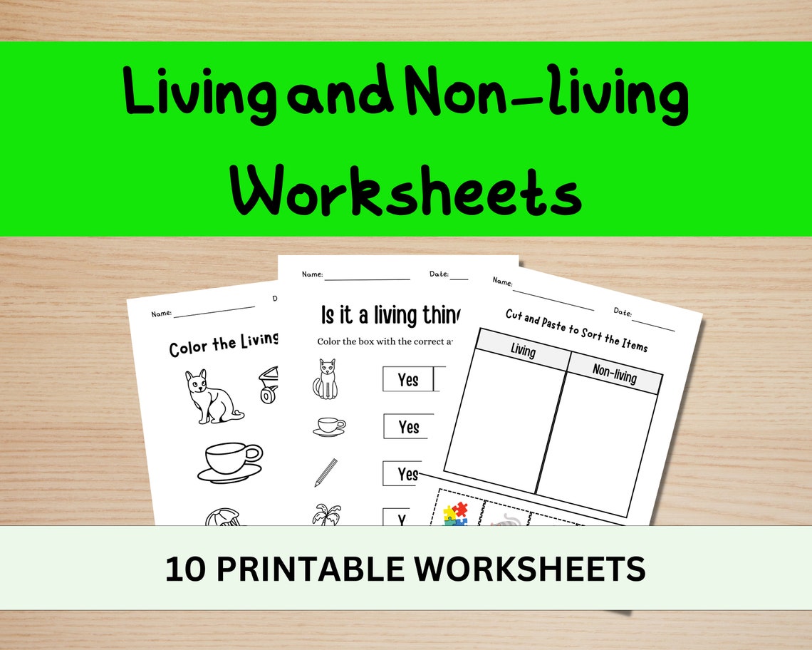 Living and Non-living Worksheets | First Grade Science Activity ...