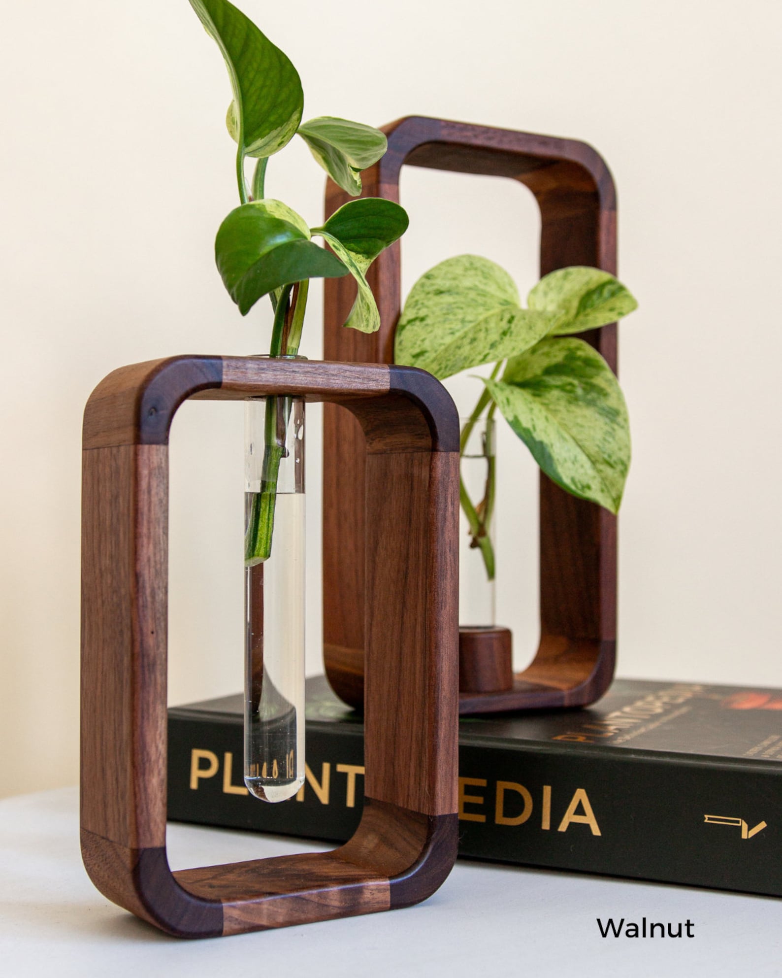 Propagation Stand Set | Modern Wooden Vase for Plants - Etsy