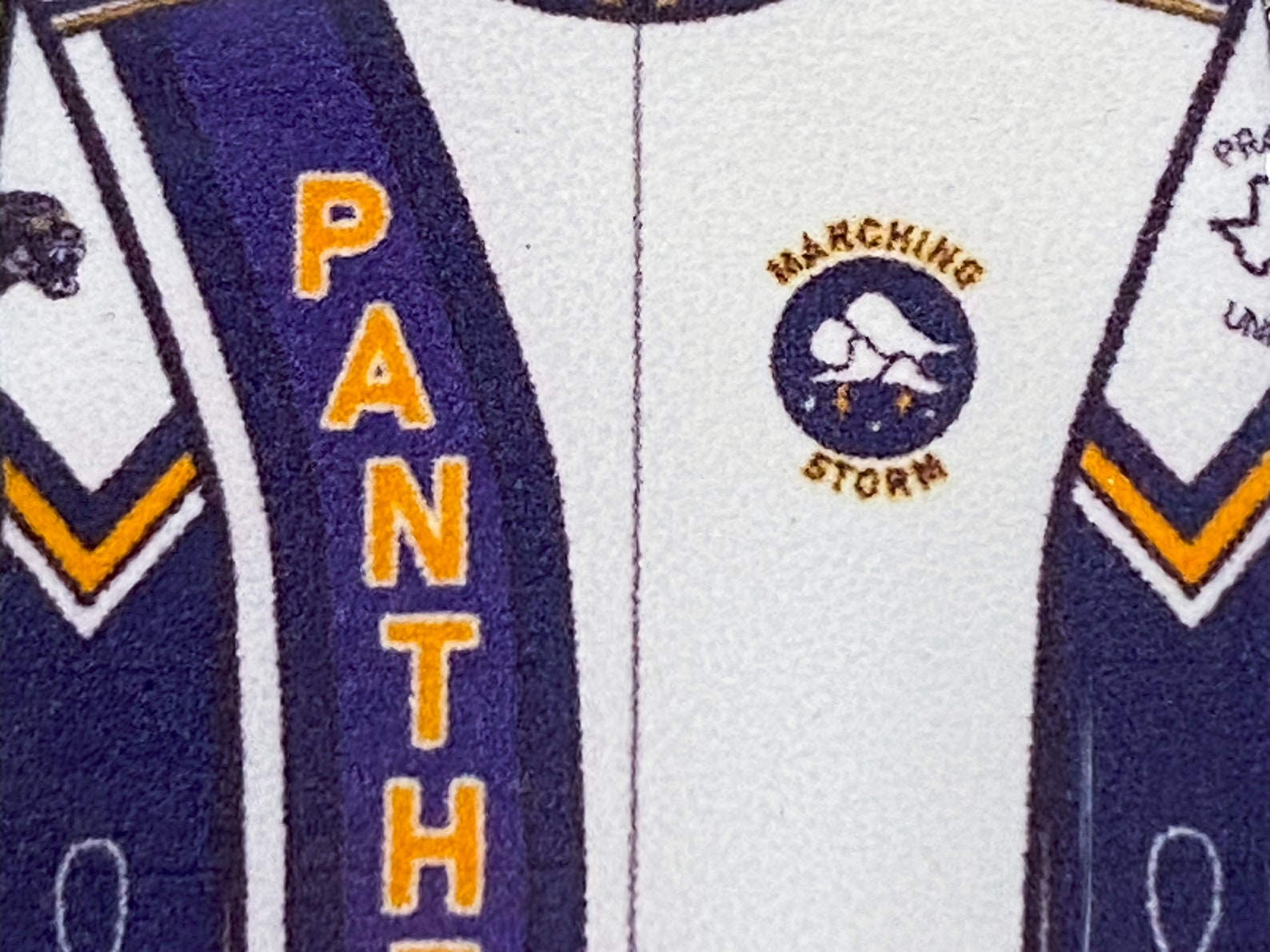Prairie View A&M University "marching Storm" Modern Uniform | HBCU and ...