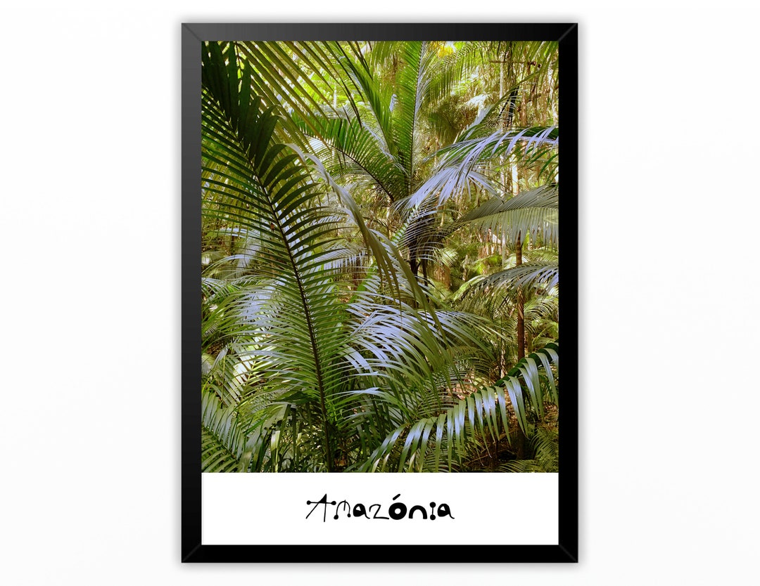 Printable Amazônia A3 Poster Printable Amazônia Souvenir - Etsy