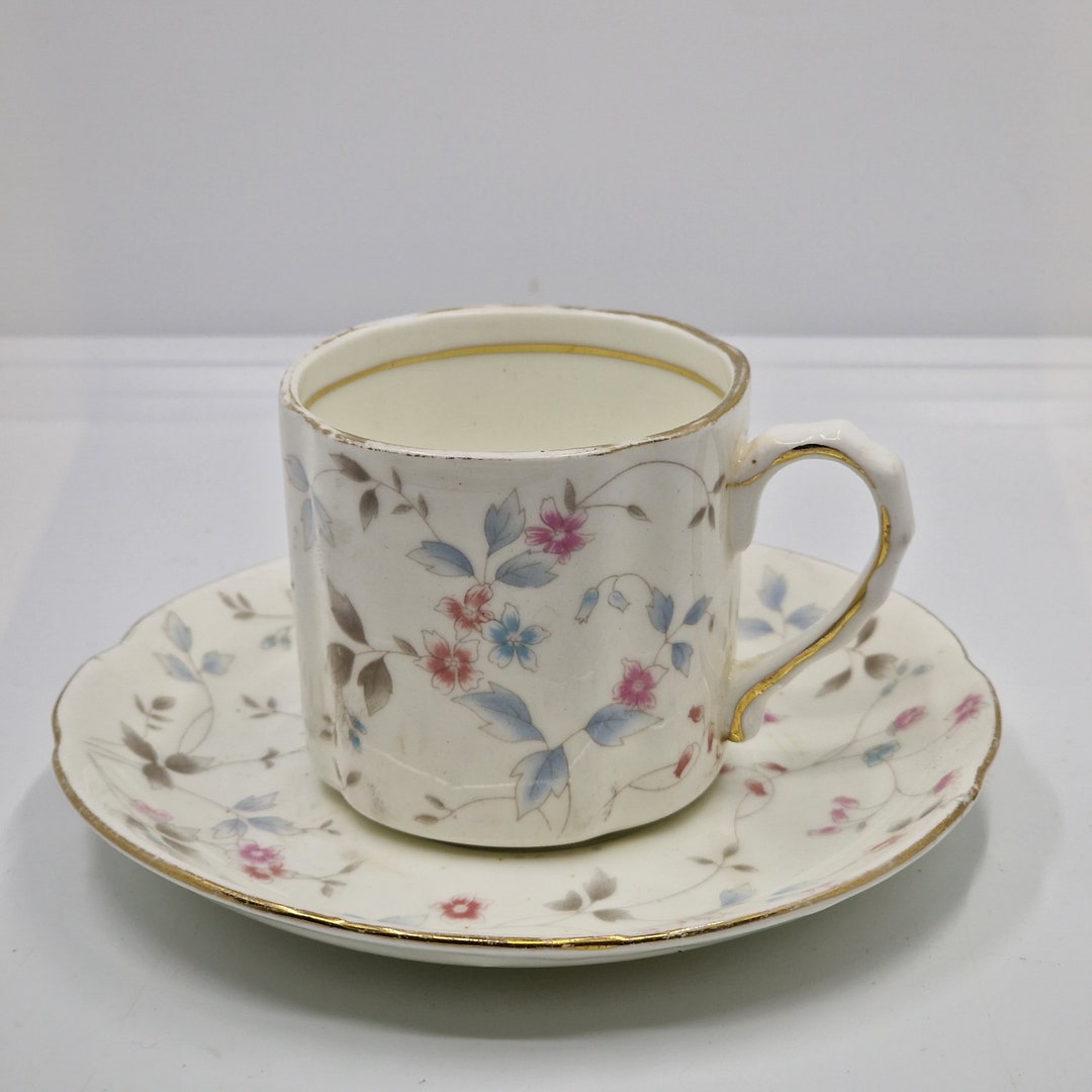 Vintage Bone China Balmoral Castle Tea Cup and Saucer: Floral ...