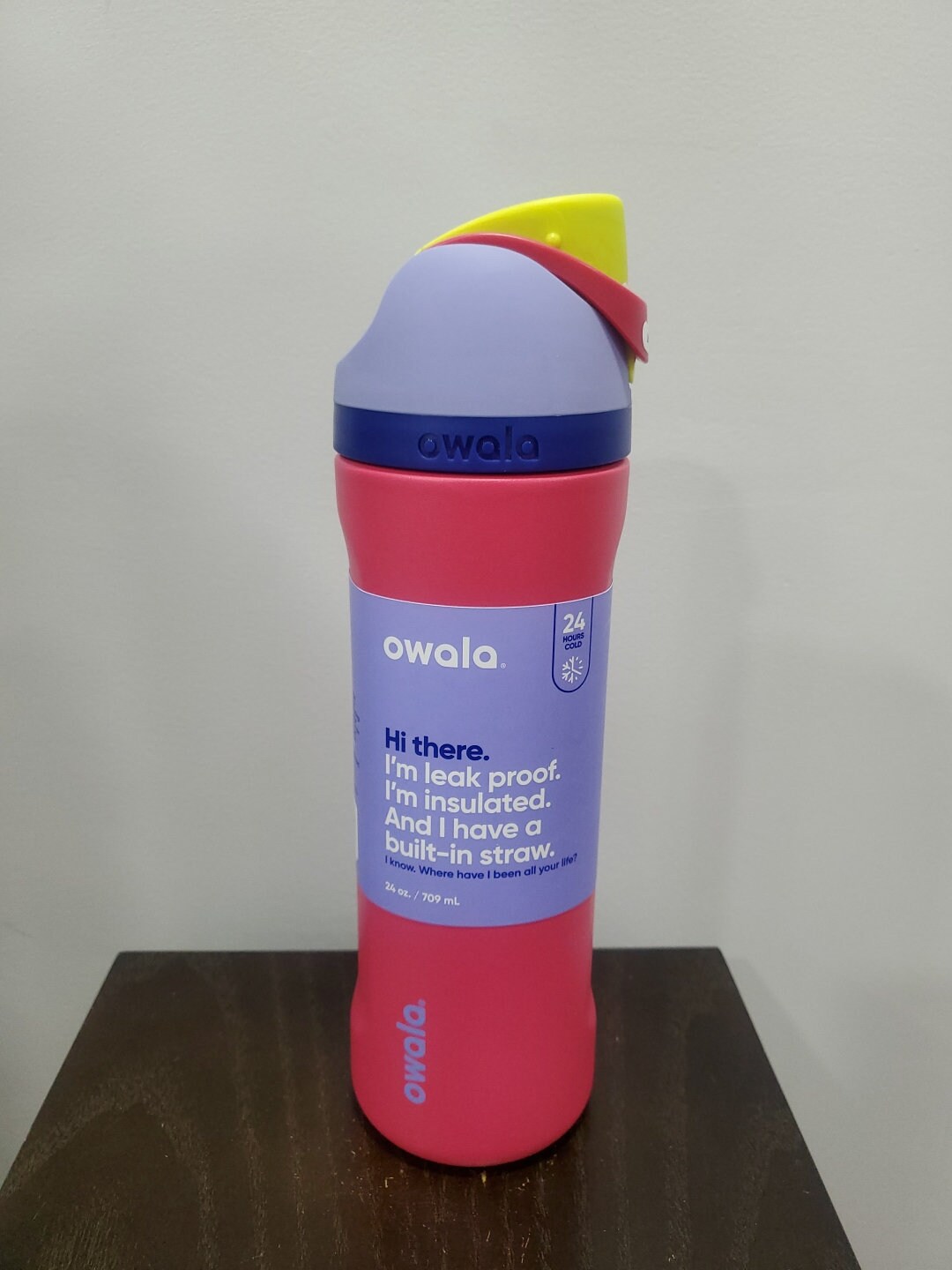 Owala Freesip Stainless Steel Water Bottle / 24oz / Color: Poolside ...