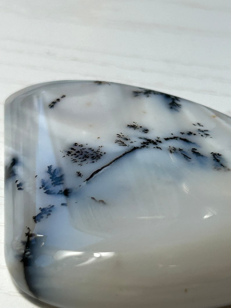 Dendritic Agate Palm Stone - Display Specimen - Lapidary Rough - Etsy