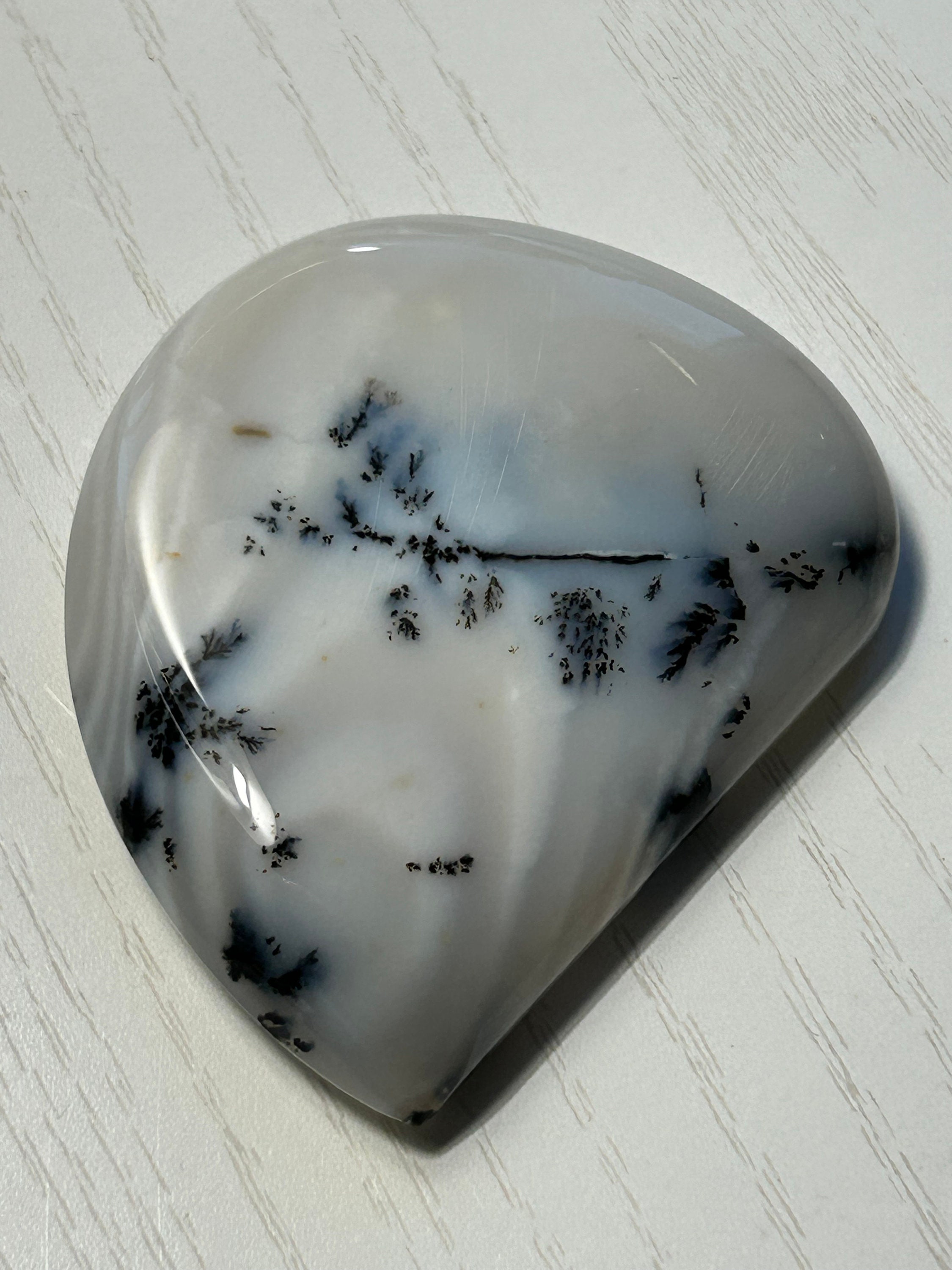 Dendritic Agate Palm Stone - Display Specimen - Lapidary Rough - Etsy