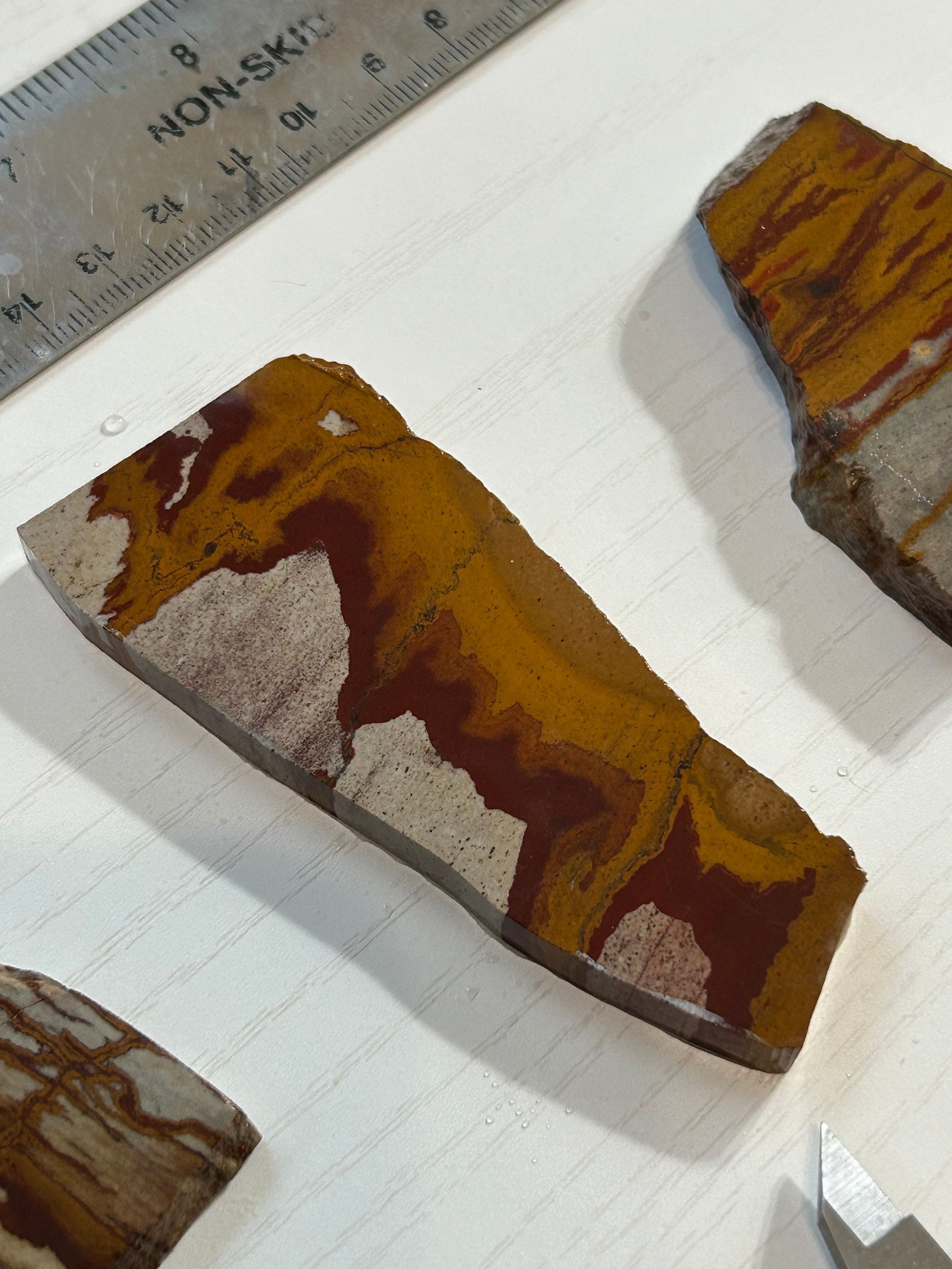 Desert Picture Stone - Rhyolite - Etsy