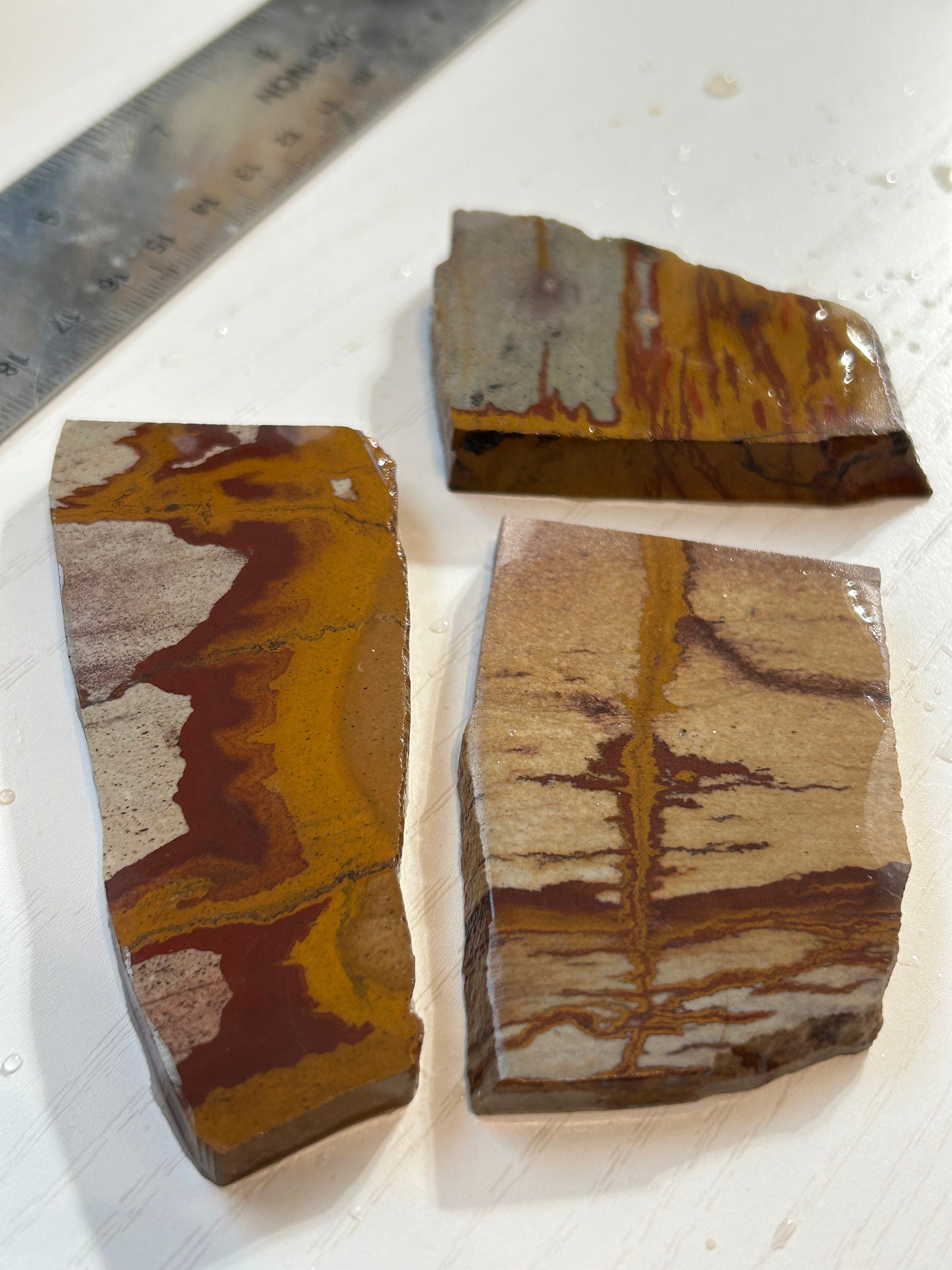 Desert Picture Stone - Rhyolite - Etsy