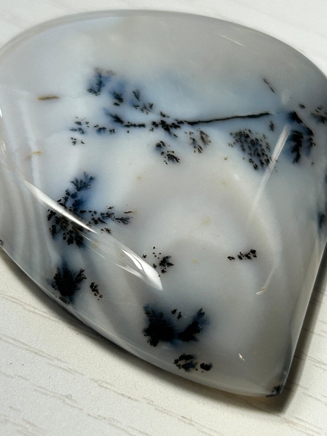 Dendritic Agate Palm Stone - Display Specimen - Lapidary Rough - Etsy