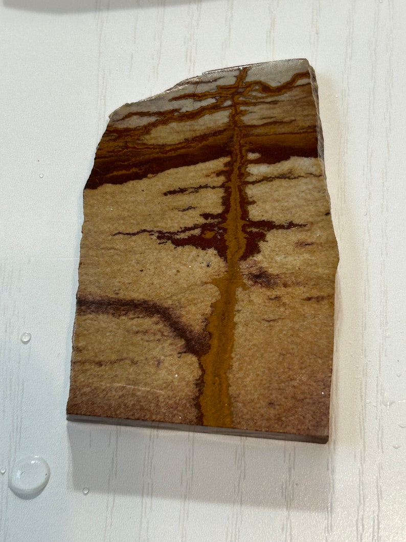 Desert Picture Stone - Rhyolite - Etsy