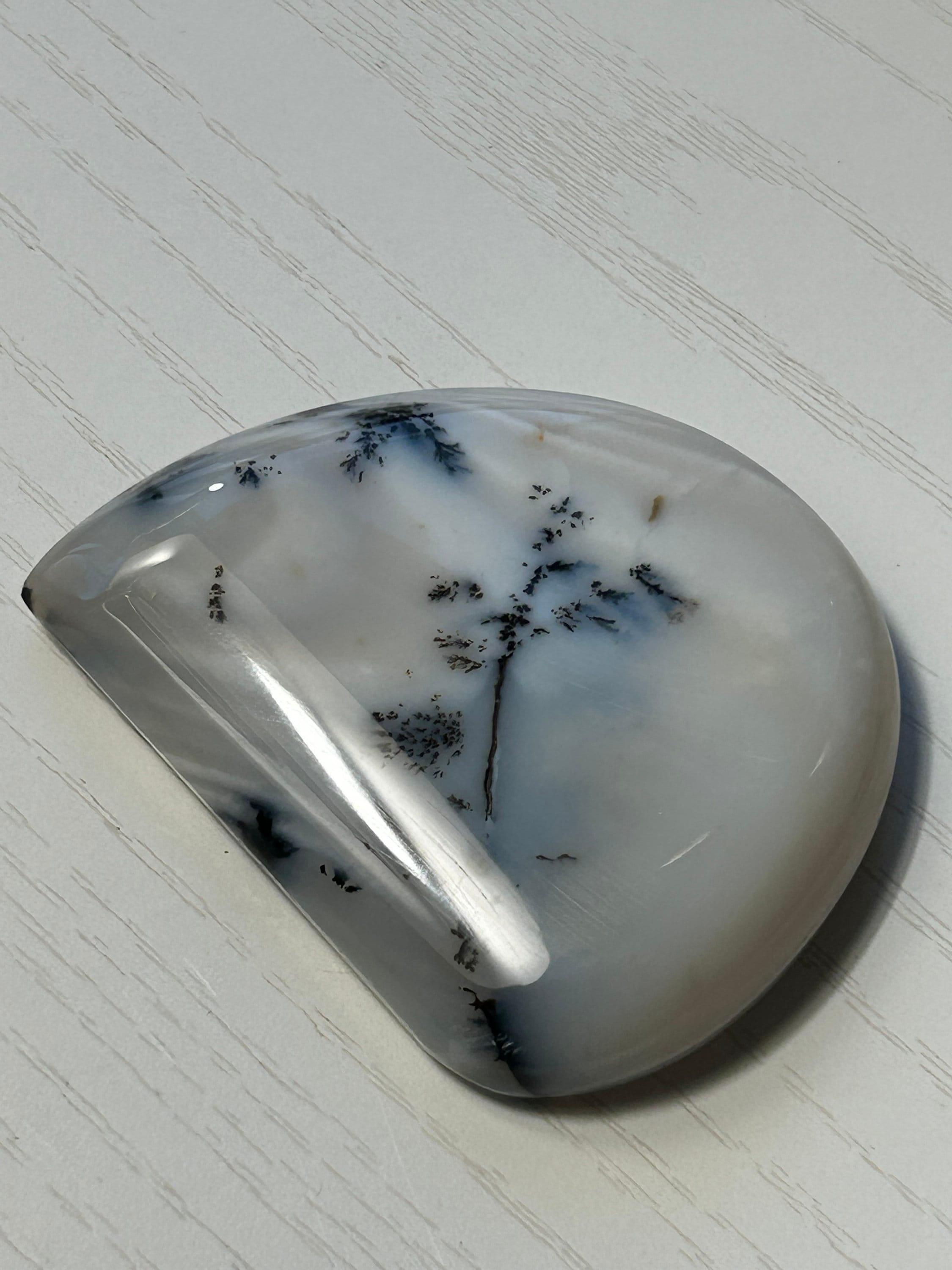 Dendritic Agate Palm Stone - Display Specimen - Lapidary Rough - Etsy