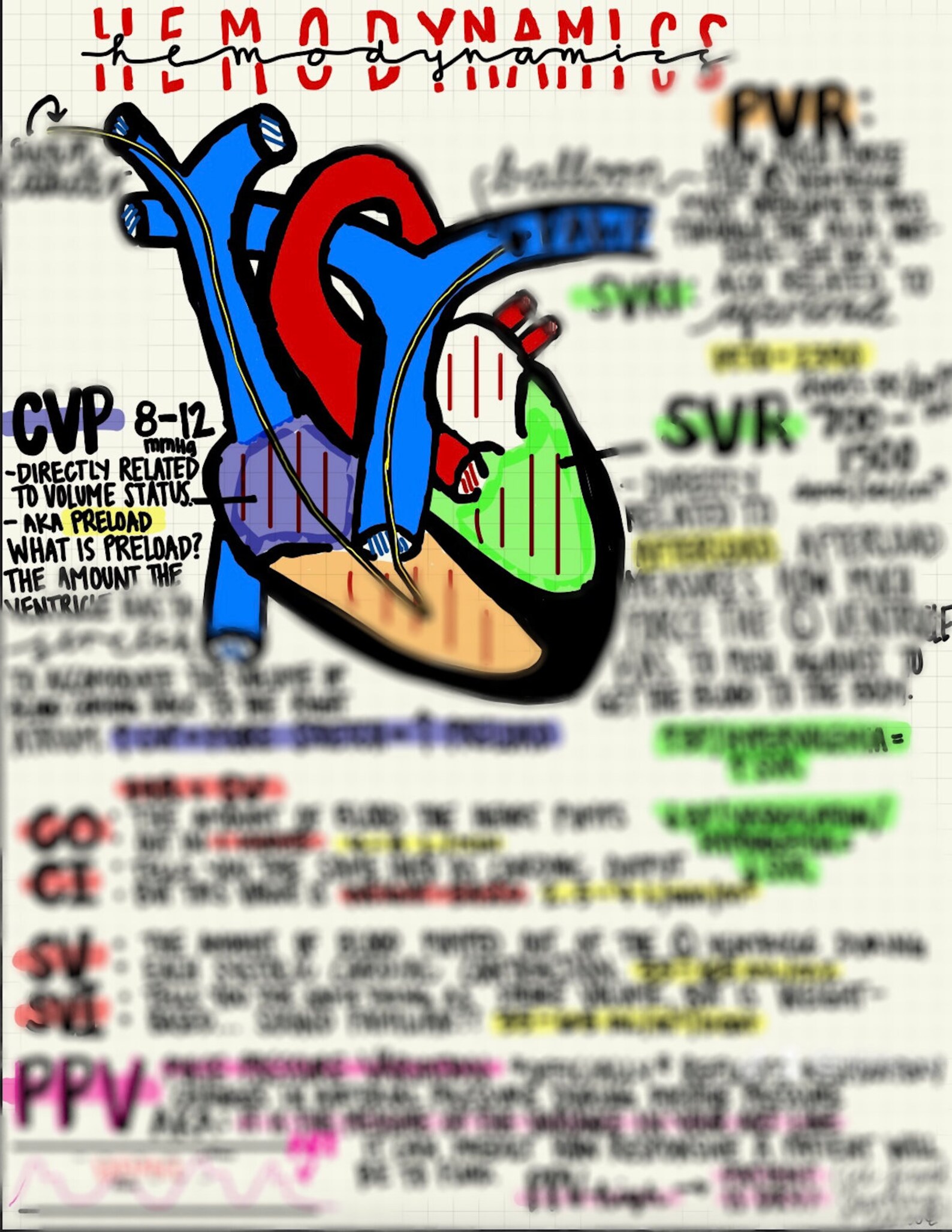 Simple Hemodynamics Interpretation Sheet - Etsy