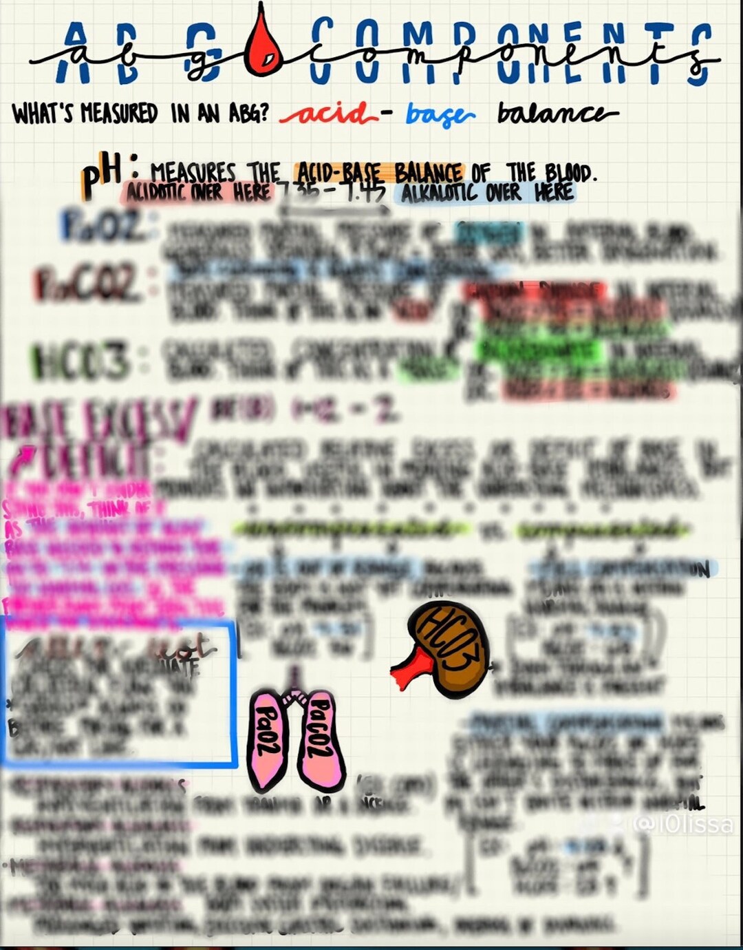 ABG Interpretation Set - Etsy