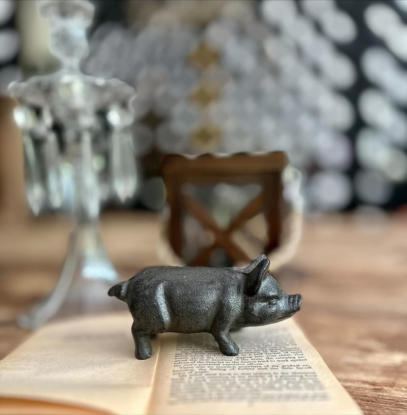 Heavy Cast Iron Pig - Etsy