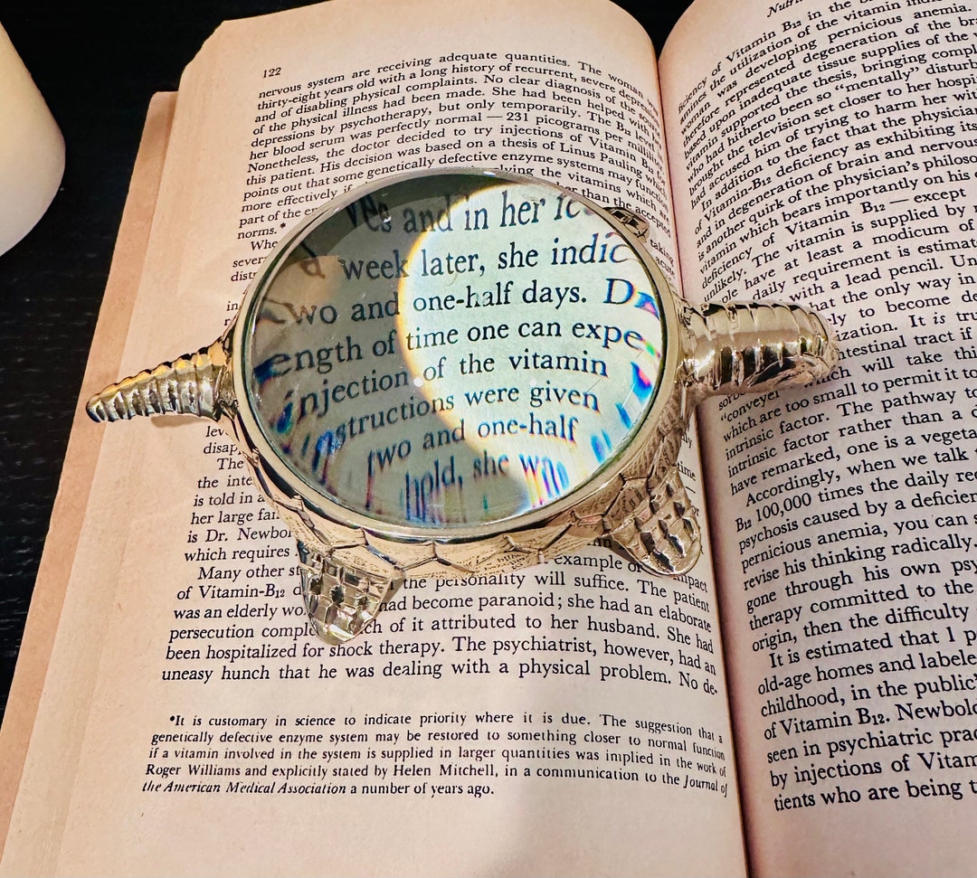 Solid Brass Turtle Magnifier, Office Decor Gift, Reading Tool, Reading ...