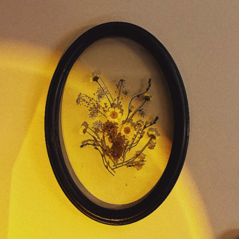Black Oval Frame Botanical Wall Decor - Etsy