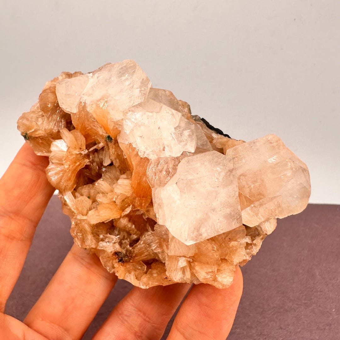 Pink Stellarite With Apophyllite - Wow! Semi-translucent Bow-tie ...