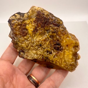 Huge Honey Gold Copal Amber From Madagascar Naturally Rare Amber With ...