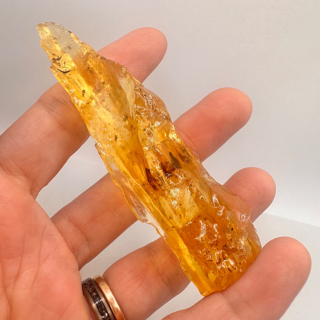Honey Gold Copal Amber With Insects From Madagascar Embedded - Etsy