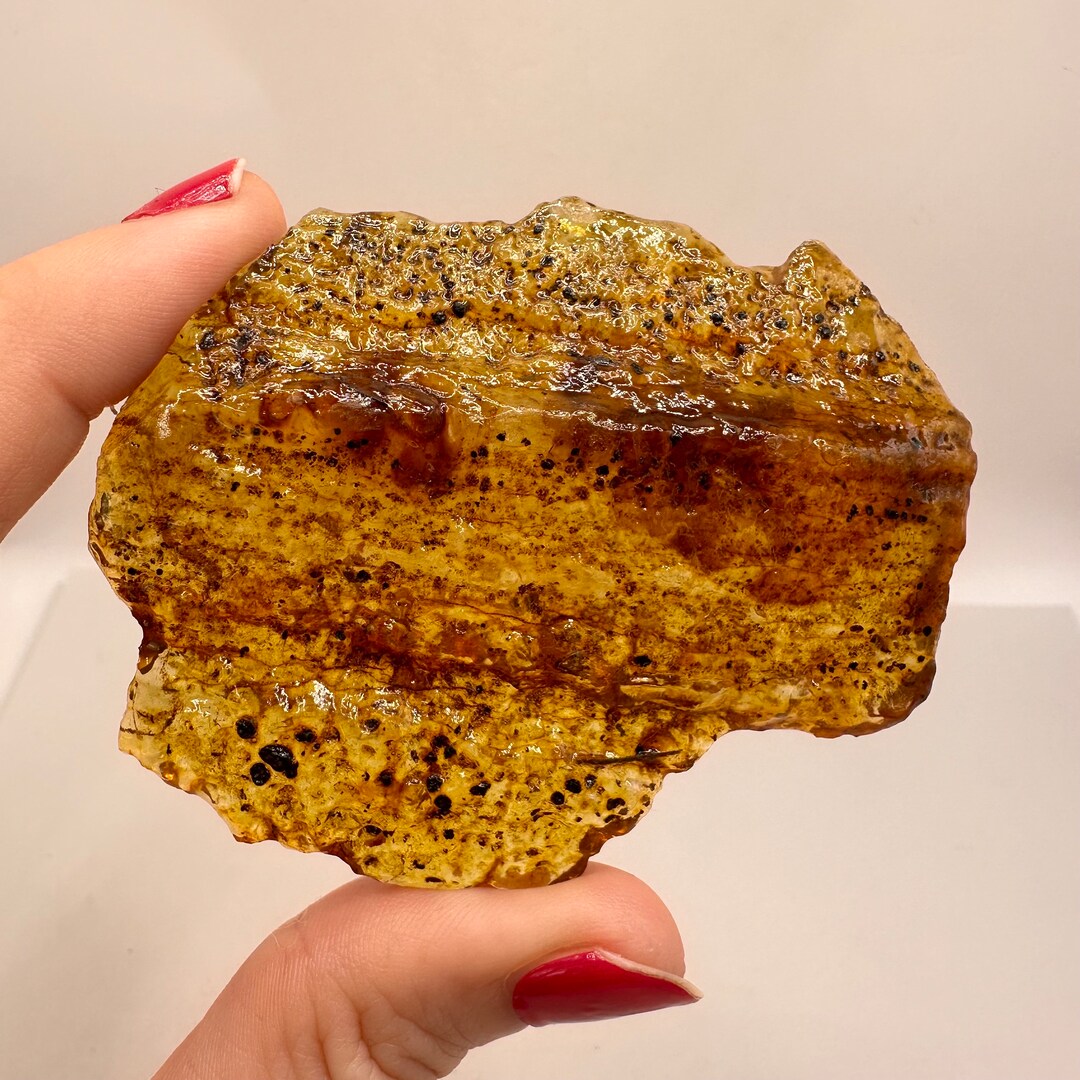 Big Honey Gold Copal Amber With Organic Material From Nosy Varika ...