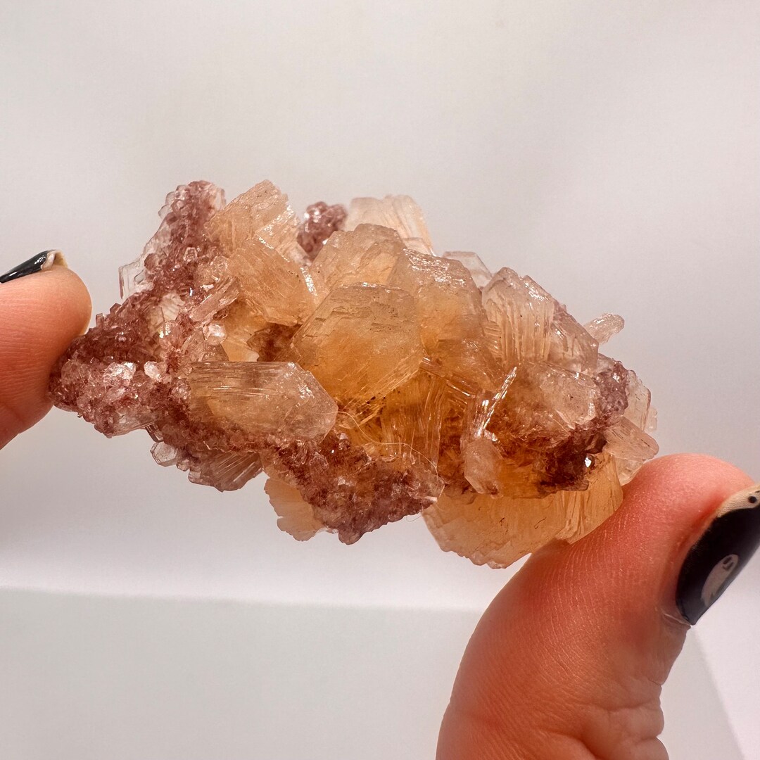 Translucent Bow-tie Stilbite With Red Chalcedony | Beautiful Unique ...