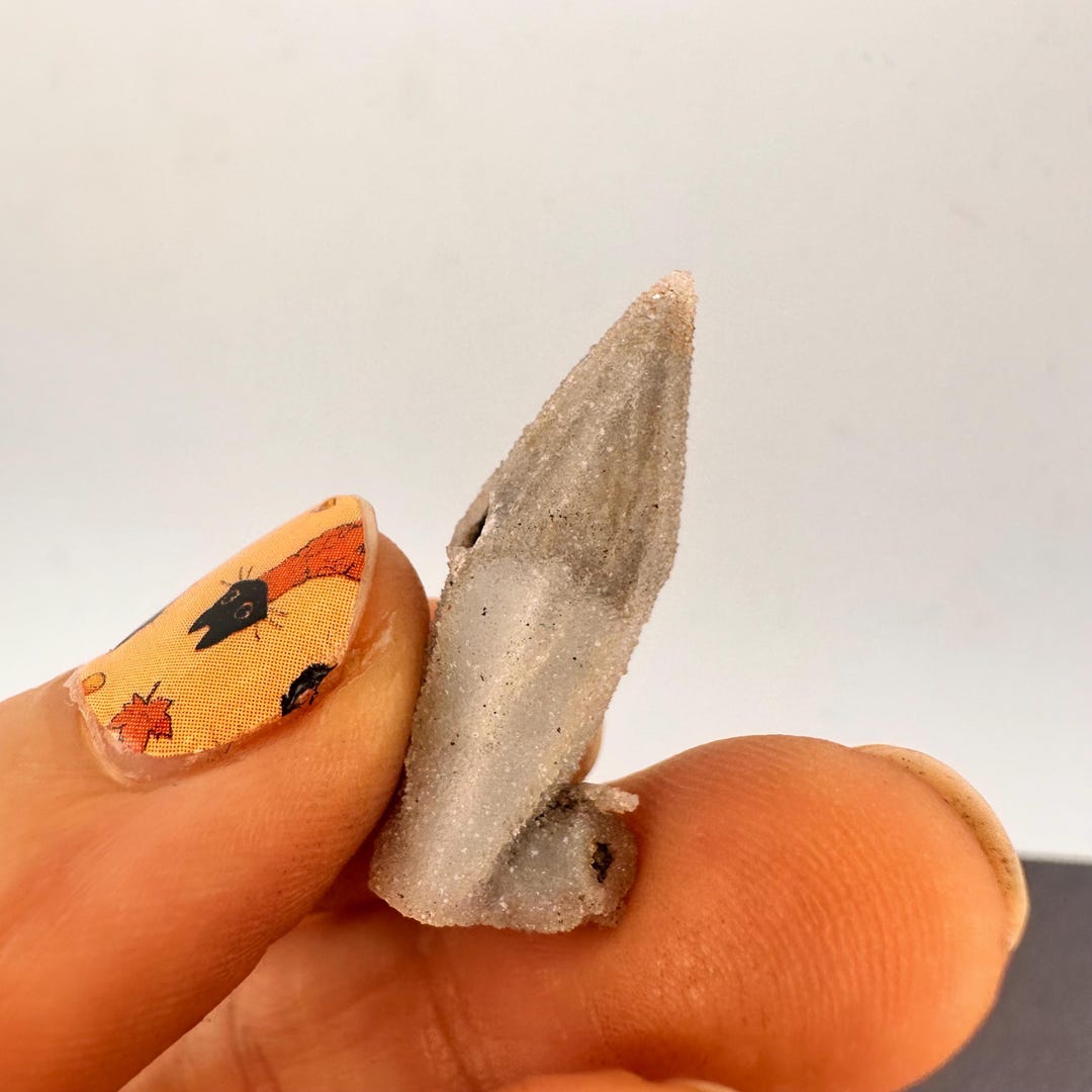 Unusual and Rare Pseudomorph snow Finger Druzy Quartz After Dogtooth ...