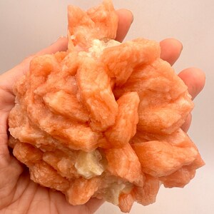 Big! Dark Orange Stilbite - Extremely Rare | Peach Pink Stilbite From ...