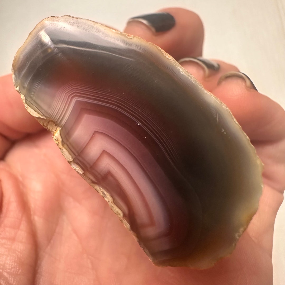 Sashe River Agate Polished Nodule - Great Specimen From a Beloved ...