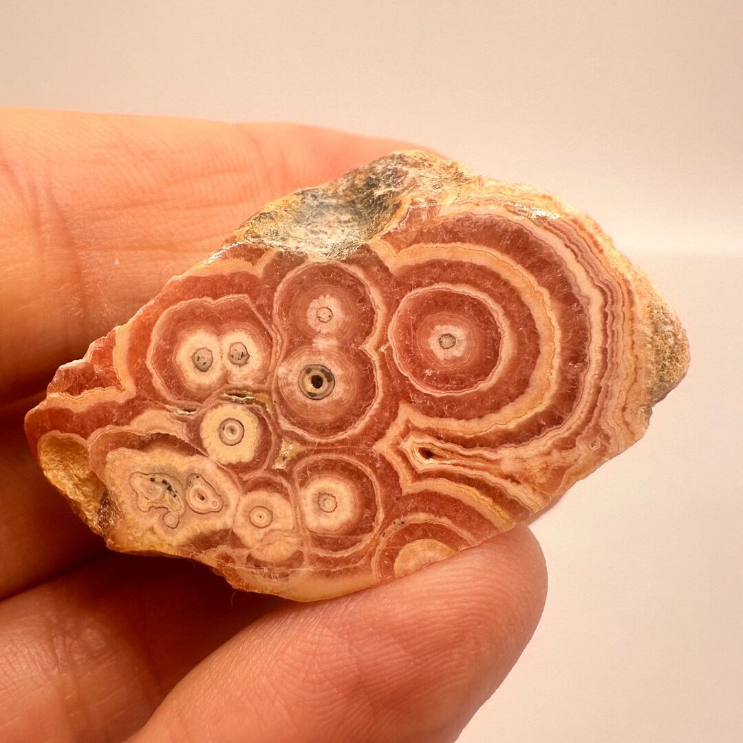 Rhodochrosite Stalactite - Polished Display Specimen From Argentina ...