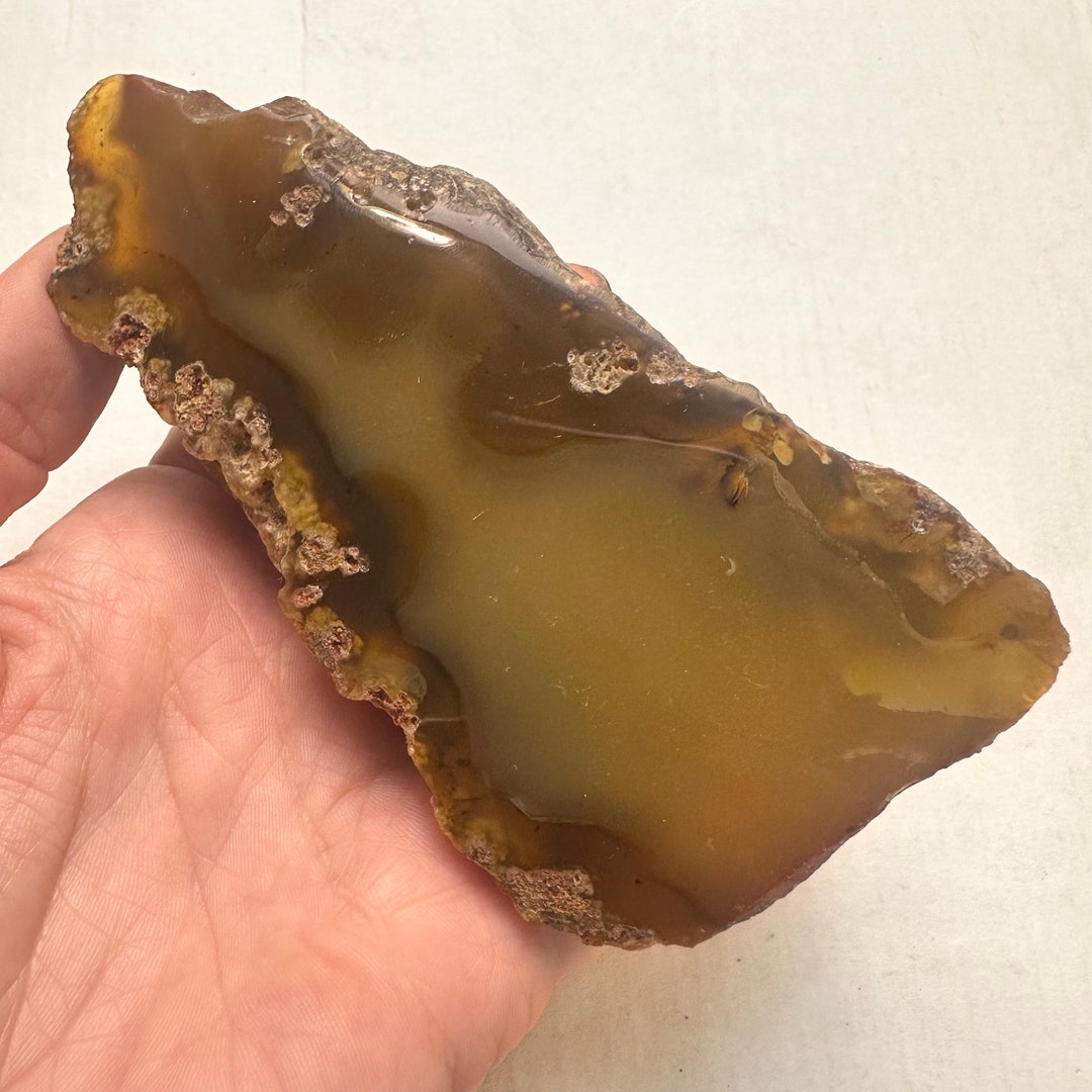 Large Sashe River Agate Polished Nodule - Great Specimen From a Beloved ...